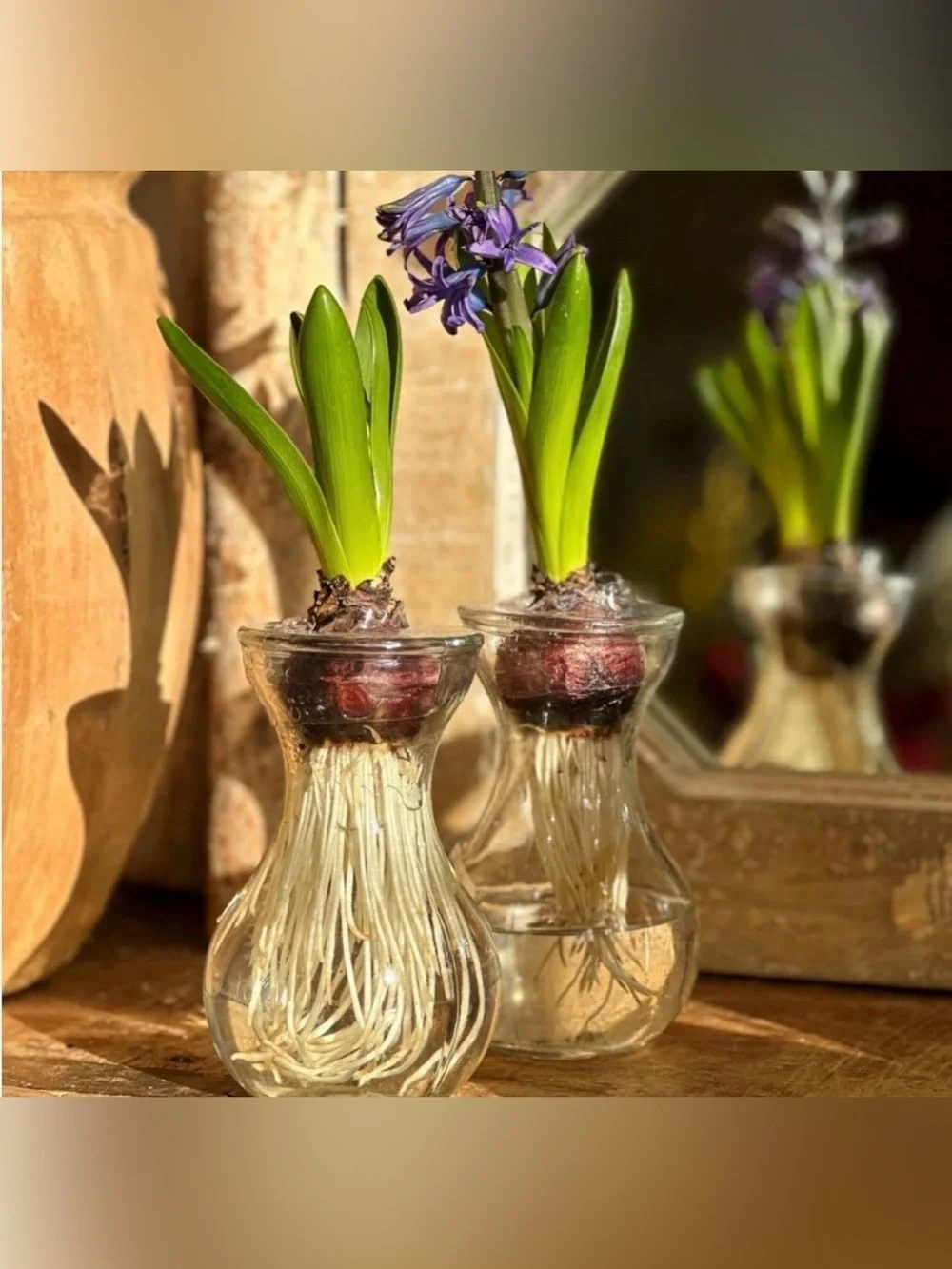 Accents | Set Of 12 Clear Glass Bud Vases Elegant Minimalist ...